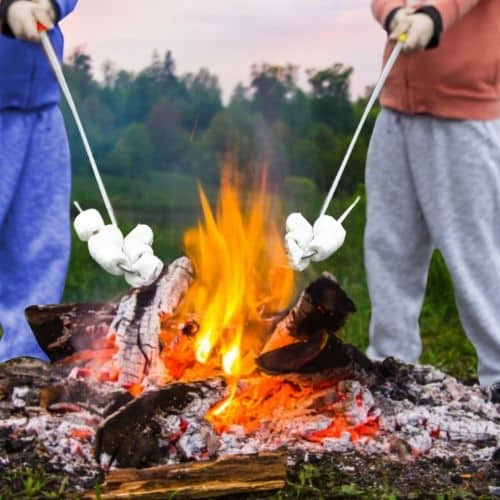 Extendable Campfire Roasting Stick $4 | MyFreeProductSamples.com