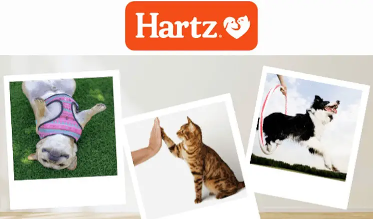 Free Hartz Pet Samples & Products!