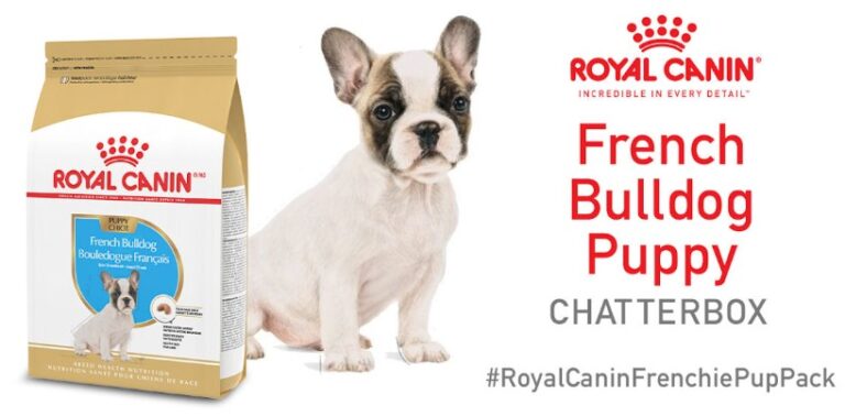 Free Royal Canin French Bulldog Puppy Chatterbox Kit!