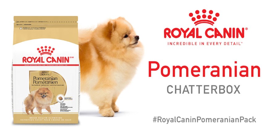 Free Royal Canin Pomeranian Chatterbox Kit!